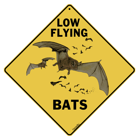 Bat Gifts - Chris's Squirrels and More