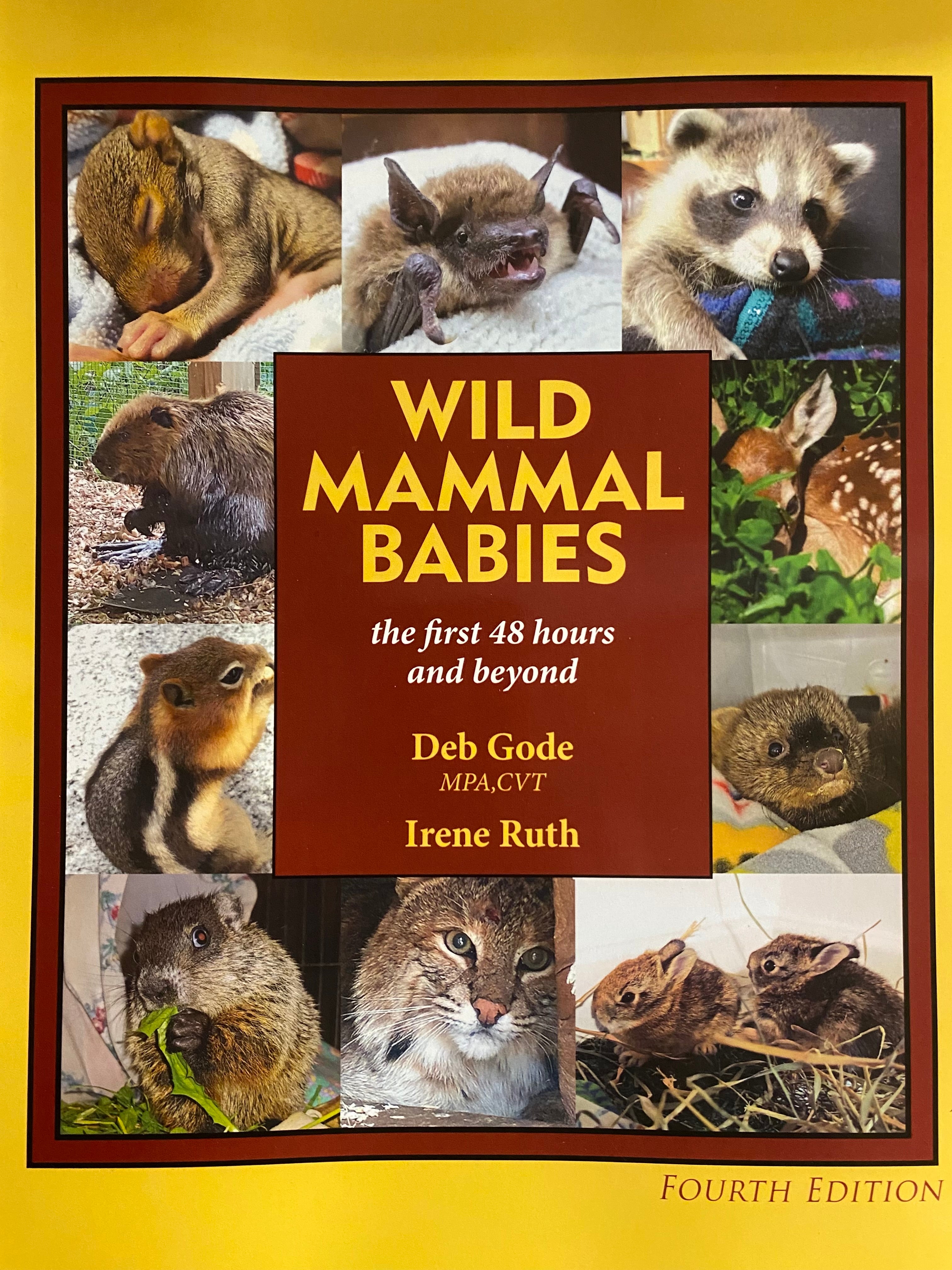 Mammals Pictures With Babies